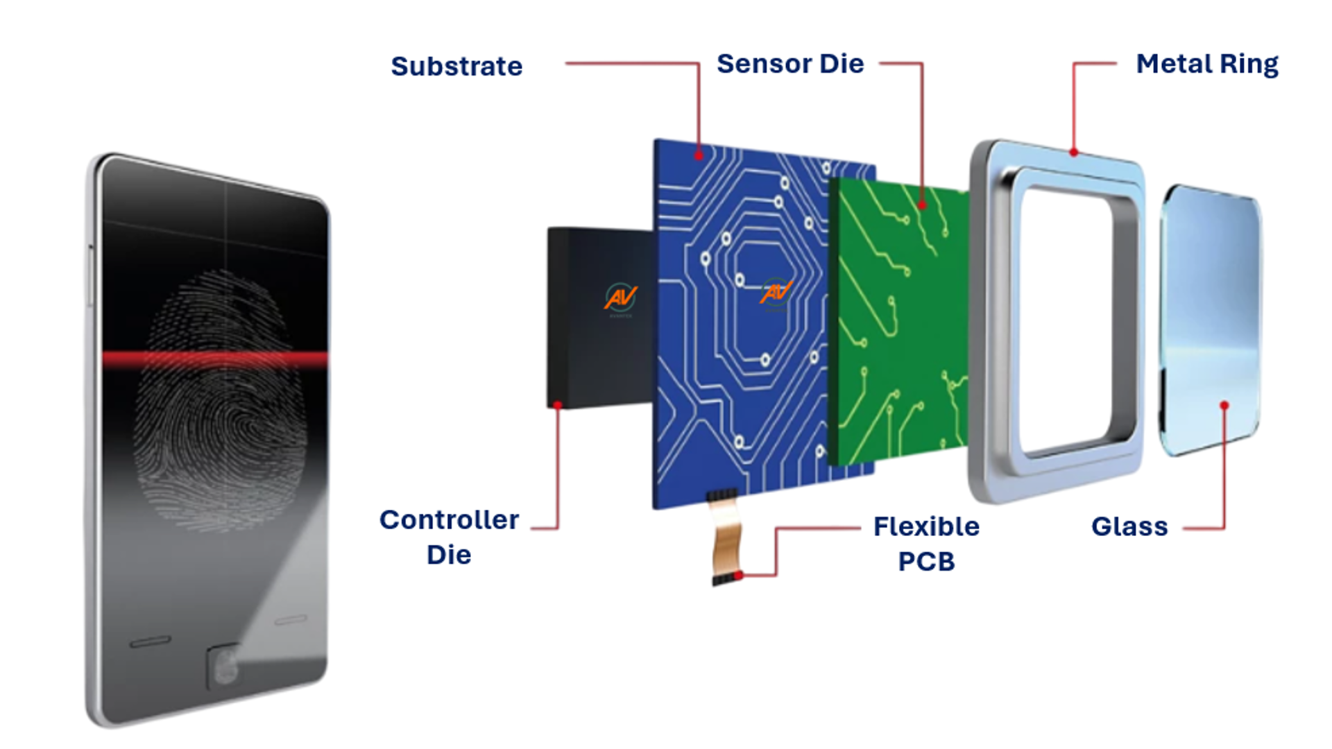 Fingerprint Sensor Technology, Materials & Adhesives - Avantek VN